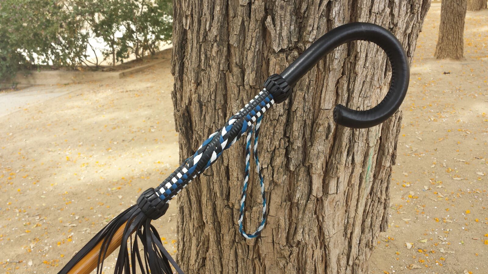 Cachabas y cachaberos: Cachaba de Antonio Sonakais