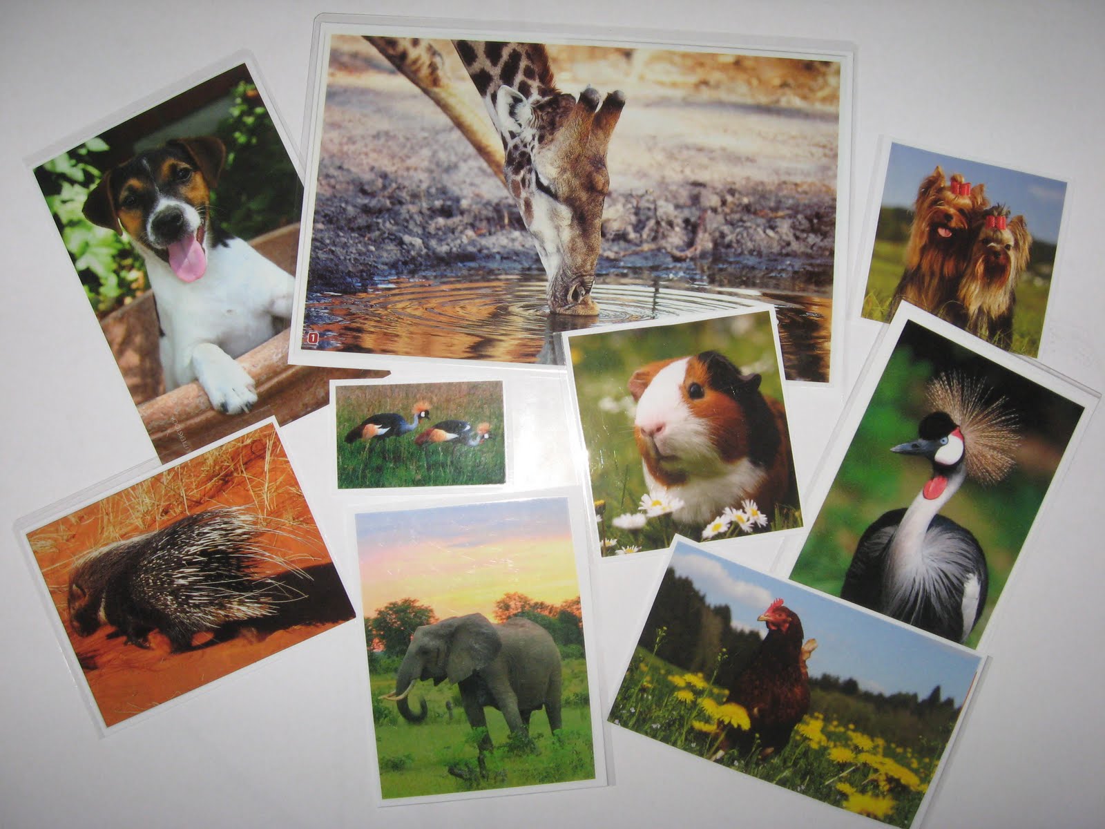 ...Joyful Mama's Place...: Using what we have 3: MAGAZINE PICTURES ...