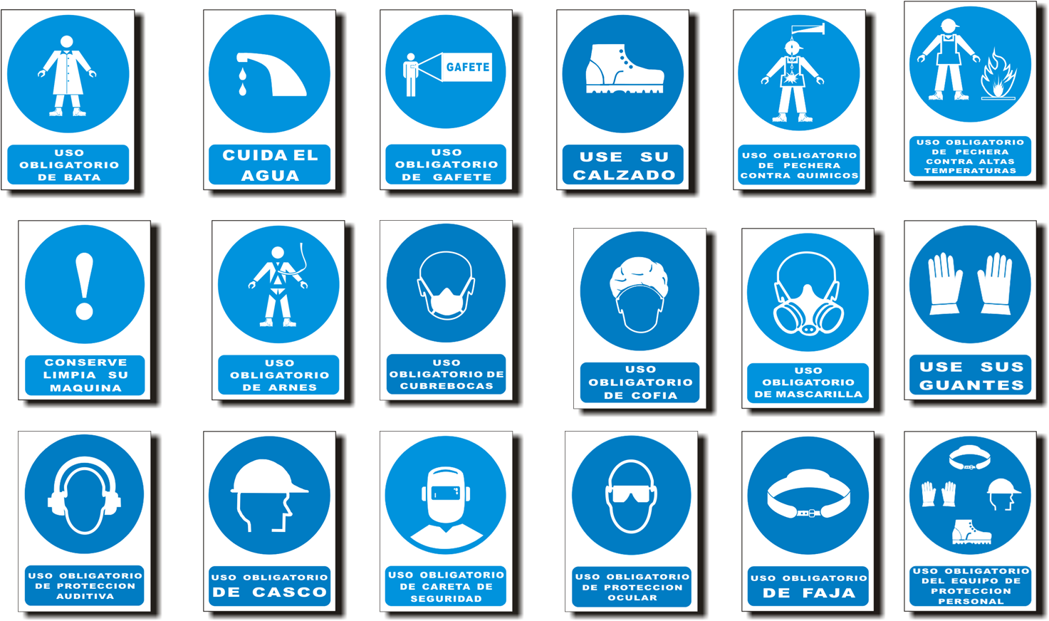 Seguridad y Salud Ocupacional: Equipo de Proteccion Personal (EPP)