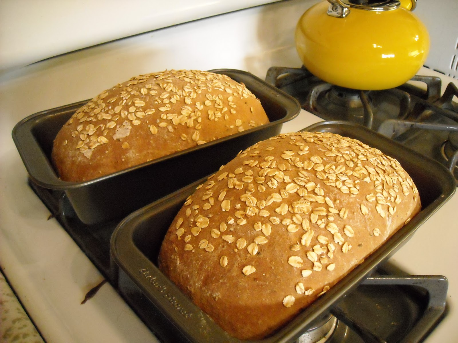Musings, Rants, & Reflections: This is Fun! Loving the bread making :)
