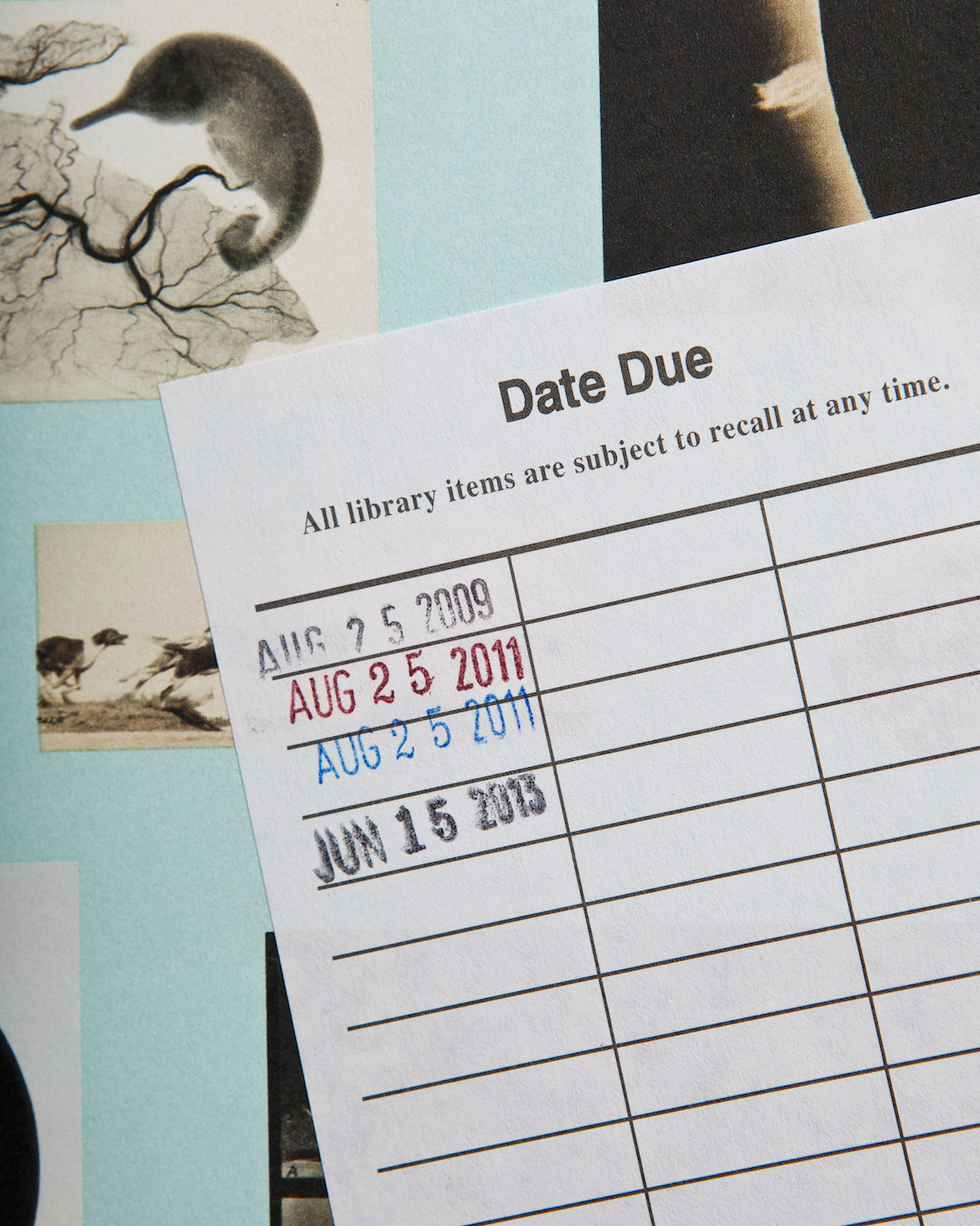 Take Out Photo: Date Due