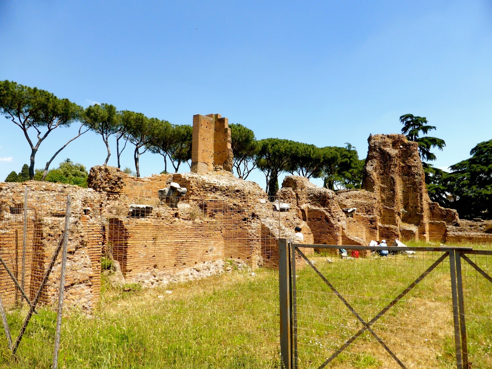 Facciamo un giro in centro?: PALATINO
