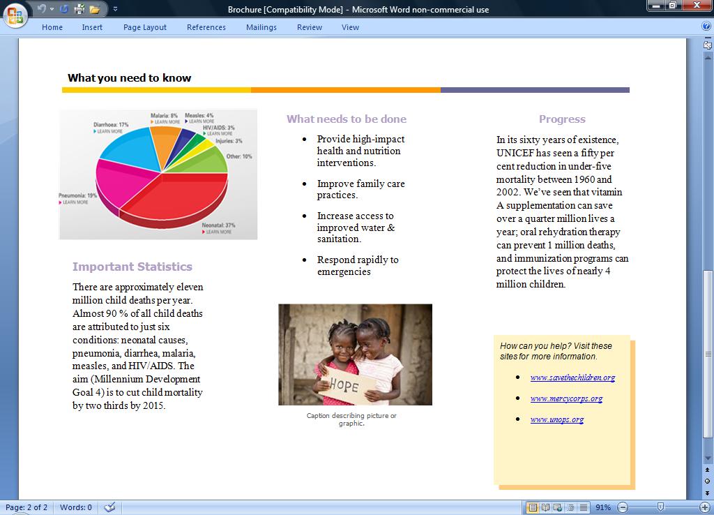 Child Mortality Rates: Brochure