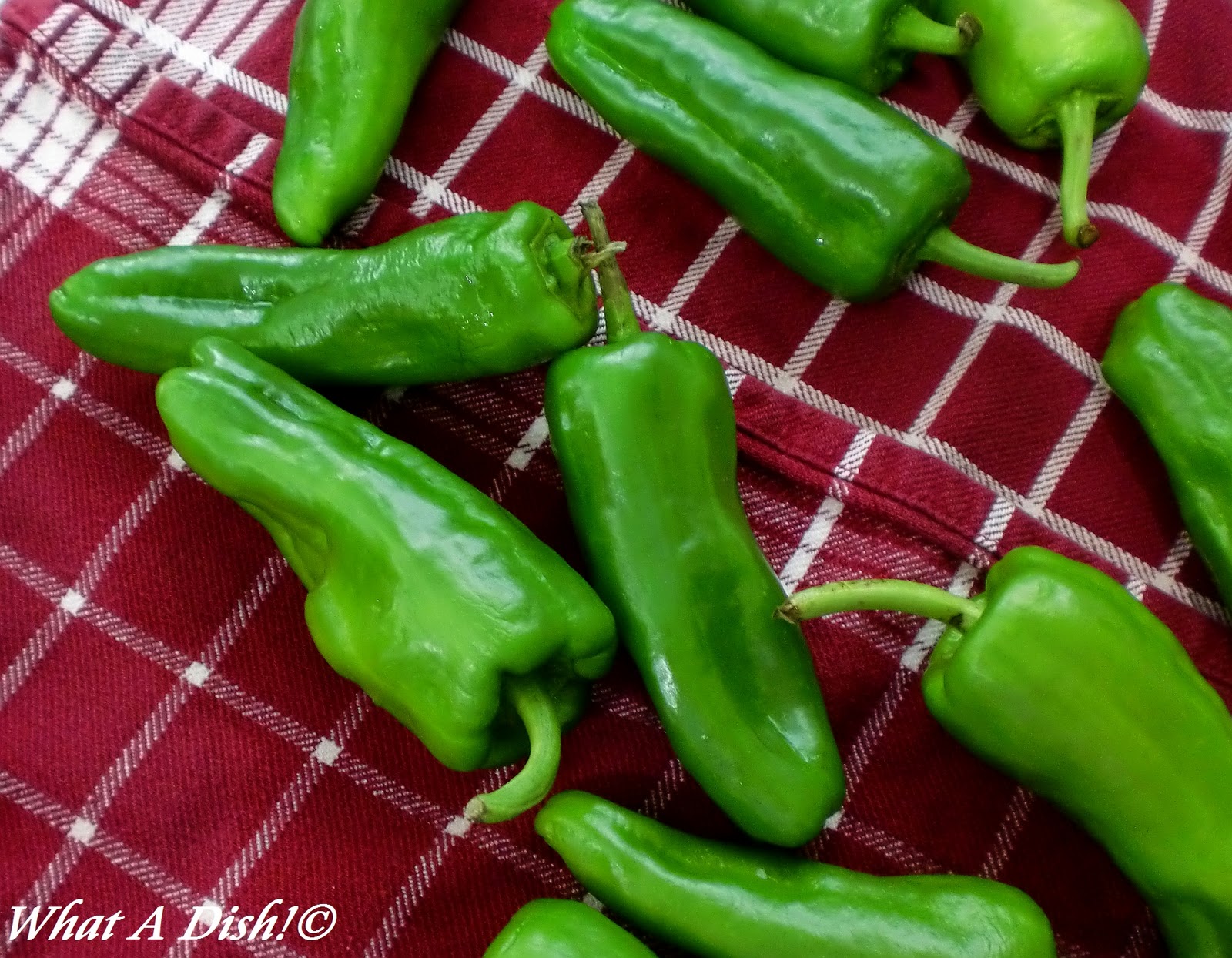 What A Dish!: Pimientos de Padrón (Spanish Tapas)