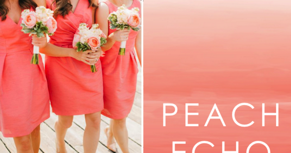 Pantone - Peach Echo 16-1548 | The Perfect Palette