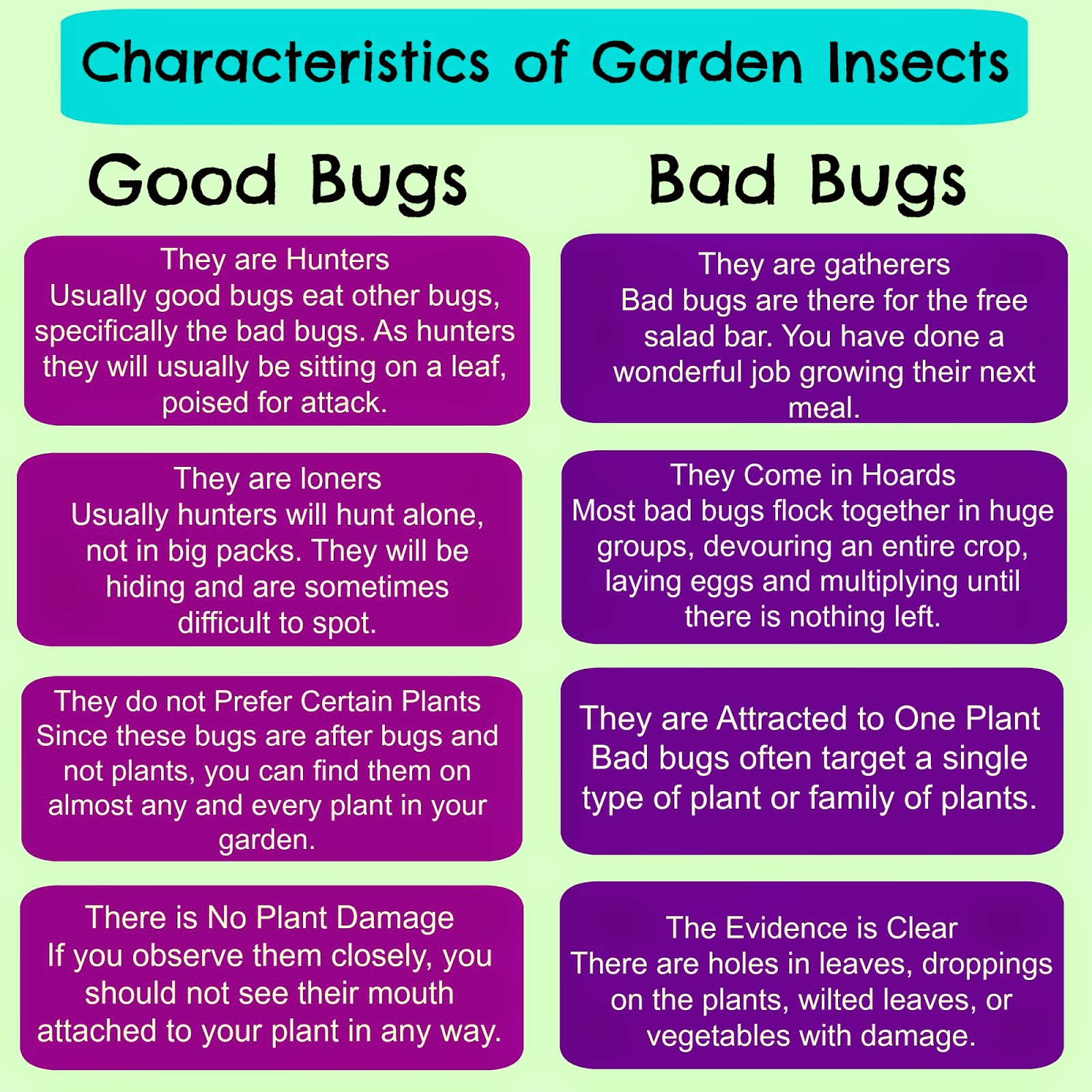 Garden Insects: Good Guys or Bad Guys?