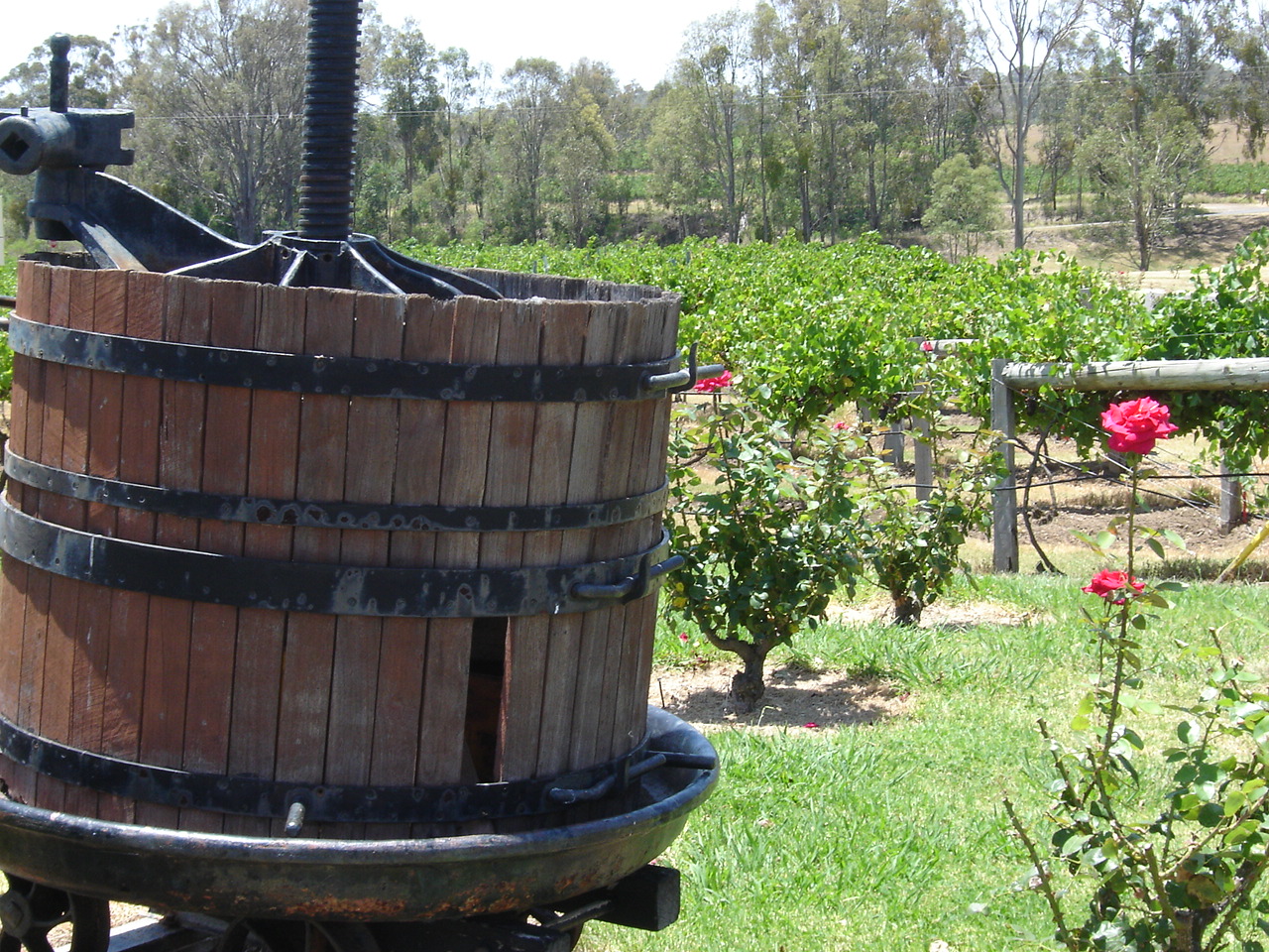 Contact & Samples - QWine Reviews