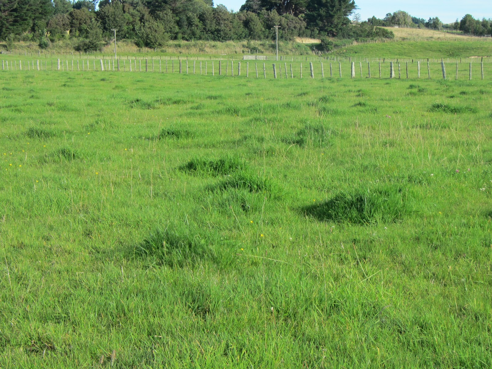 Pasture to Profit: If You Don’t Measure You Can’t Control...Basic ...