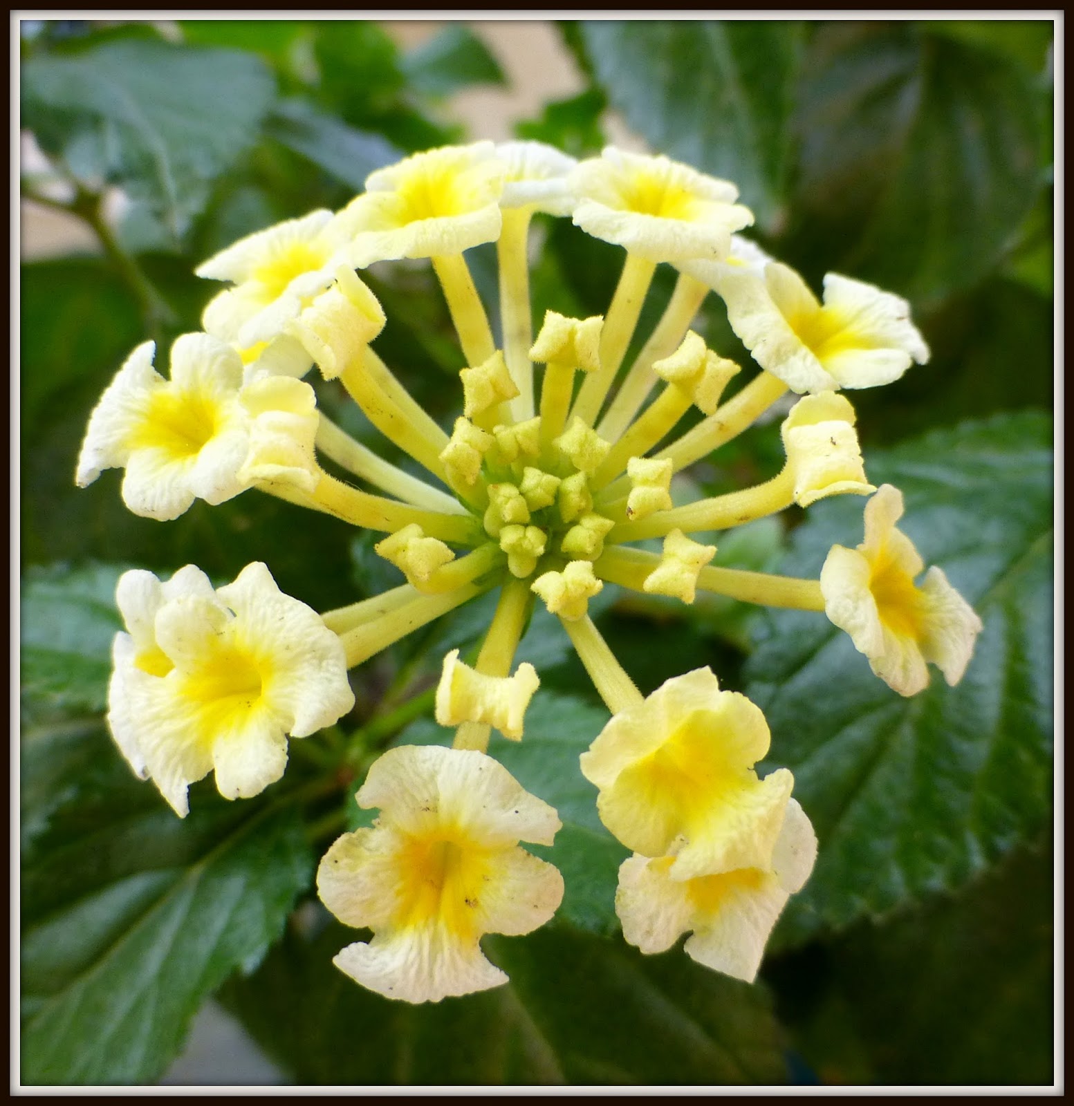 djkardkreations: Tis The Season