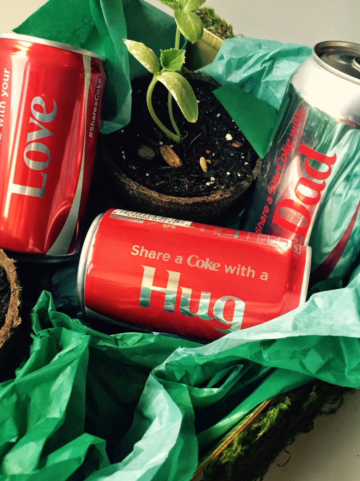 Mini Monets and Mommies: Share a Coke Summer Gift Baskets