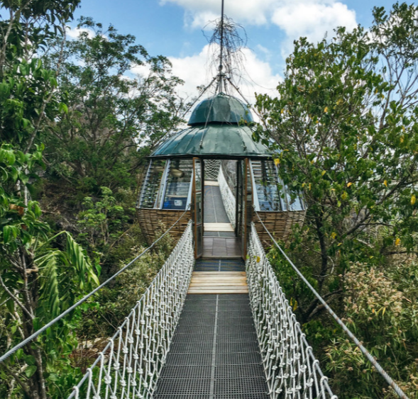 Giant Spider Wed - Mt. Masungi , Tanay , Rizal