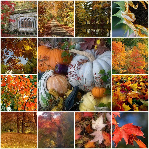 Imagini artistice: noiembrie 2012