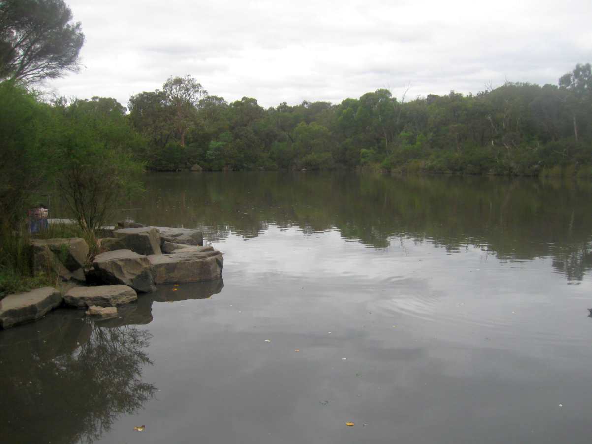 TRACKS, TRAILS AND COASTS NEAR MELBOURNE : Blackburn Lake Sanctuary