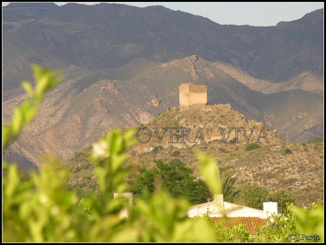 Overa Viva: EL NOMBRE ES LO DE MENOS... QUE ME QUIERAS ES LO IMPORTANTE ...