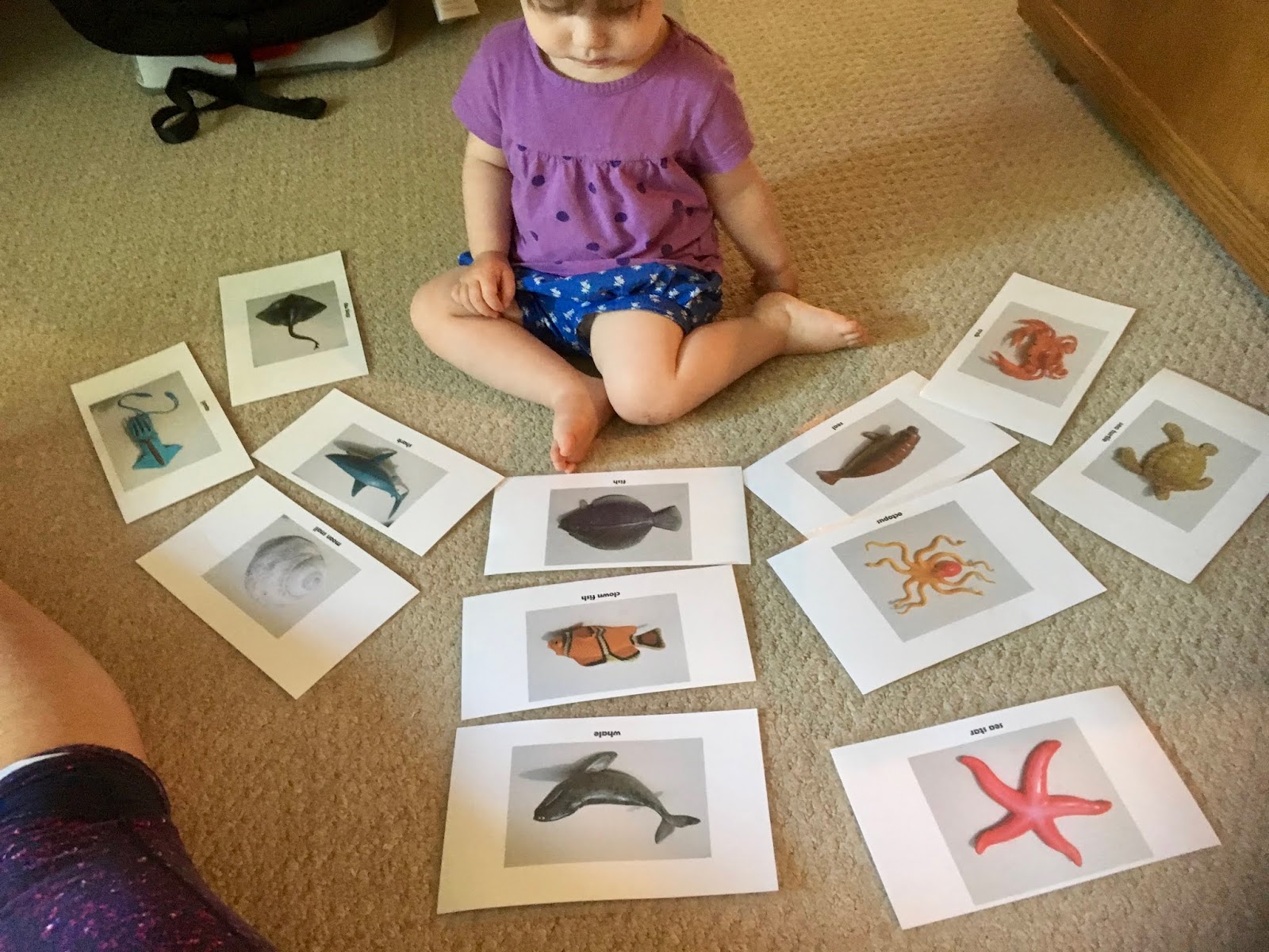 StrongStart: Ocean Matching Game