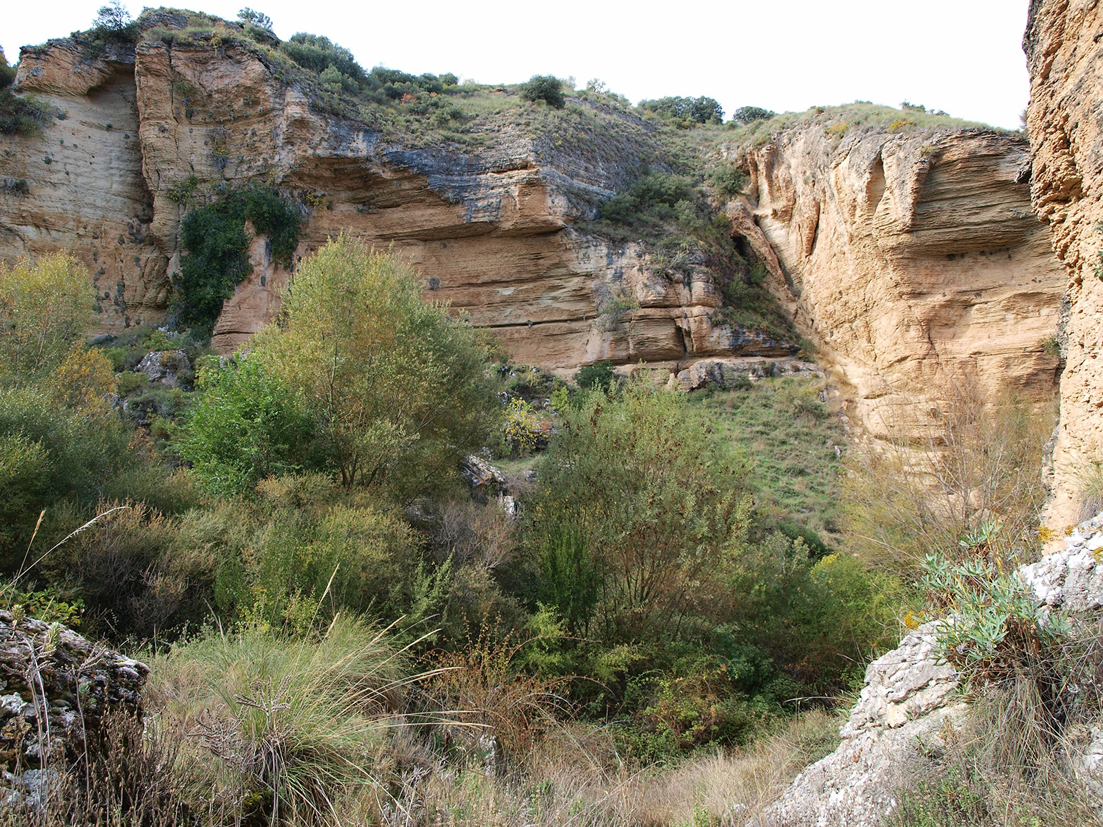 Caminando por Sierras y Calles de Andalucía: Cañón del río Cacín: II ...