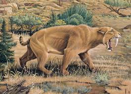 Smilodon | Fun Animals Wiki, Videos, Pictures, Stories