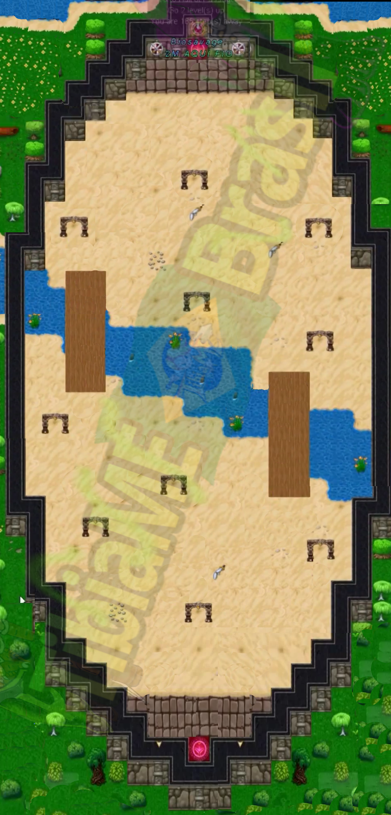 ISLAND GAMES - TIBIAME BRASIL BR