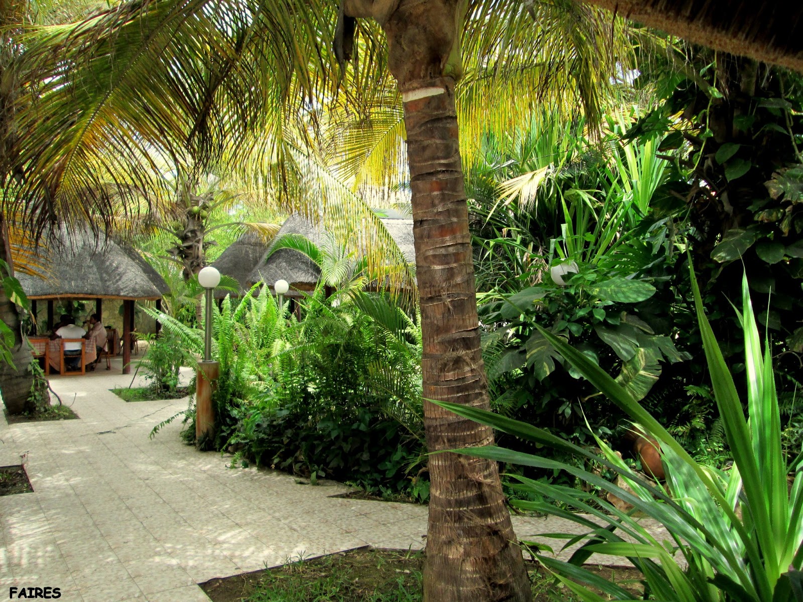 DISTRAÇÕES_i_IMAGENS: ... ao passar pelo ... SUMBE (III)