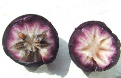 HaitianChantsofHope: Chants D’Espérance Français, Chandesperans, Chants ...