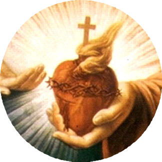 Flower of Carmel: The Heart that Cares(Jesus will show you the way)