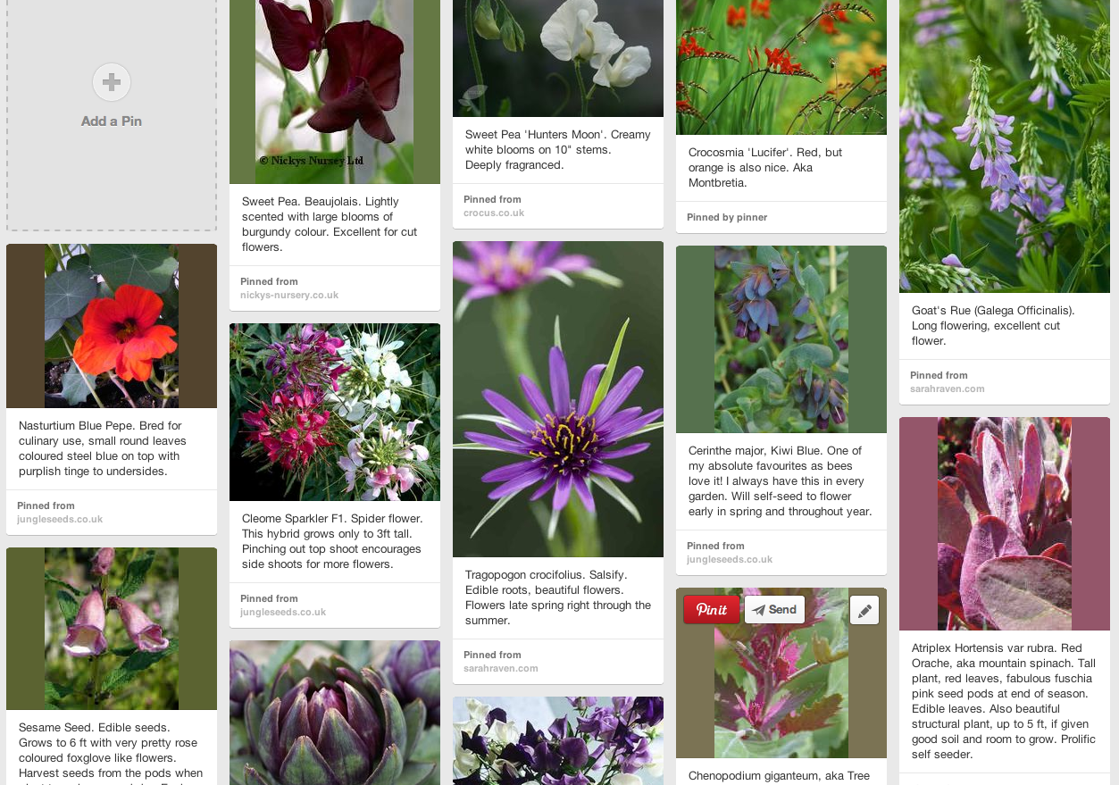 The Urban Veg Patch: Let's talk flowers, Flower Shows, Pinterest and ...