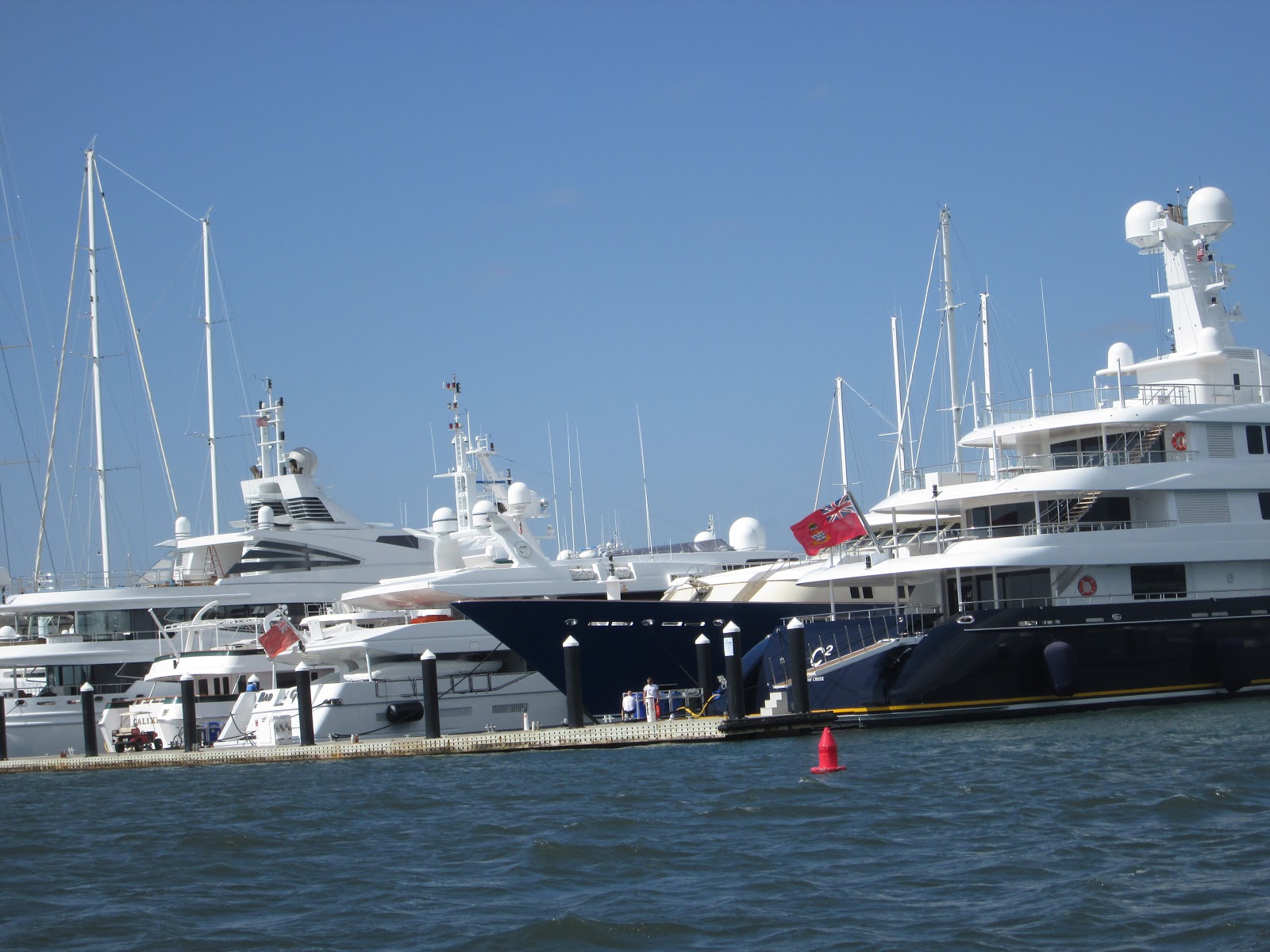 Adventures of Surona and DeJa Vu