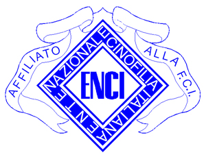 alla ricerca del Siberian Husky: Chi è il figlio di Campioni?