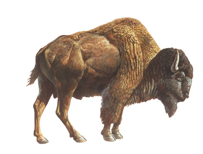 Fantasmas del pasado. El Rancho La Brea.