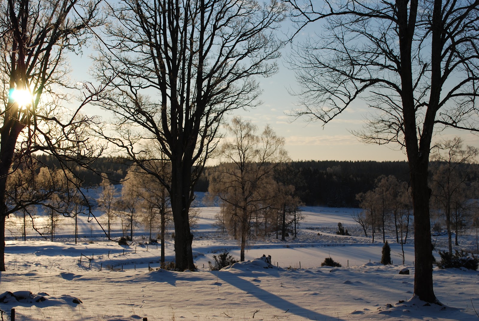 Gudebo Gård lantligt boende: Vinterbilder