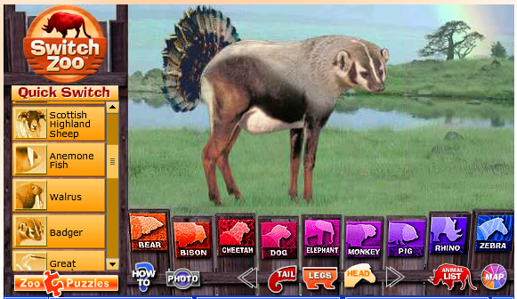 Try Curiosity!: St. Patrick's Day and Habitats with Switch Zoo