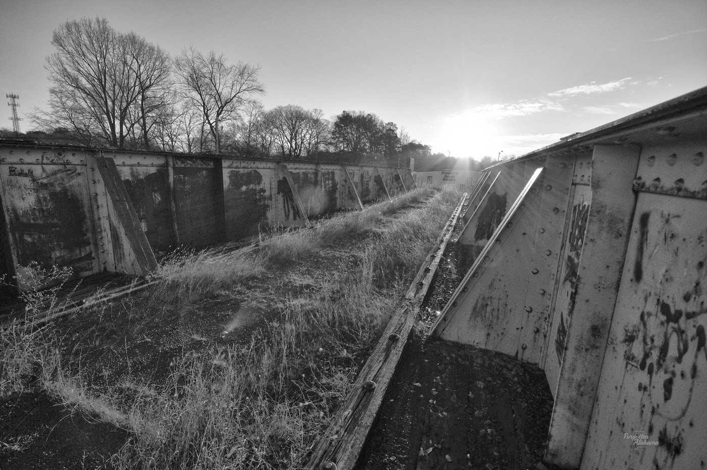 Forgotten Alabama: Dang It's Cold