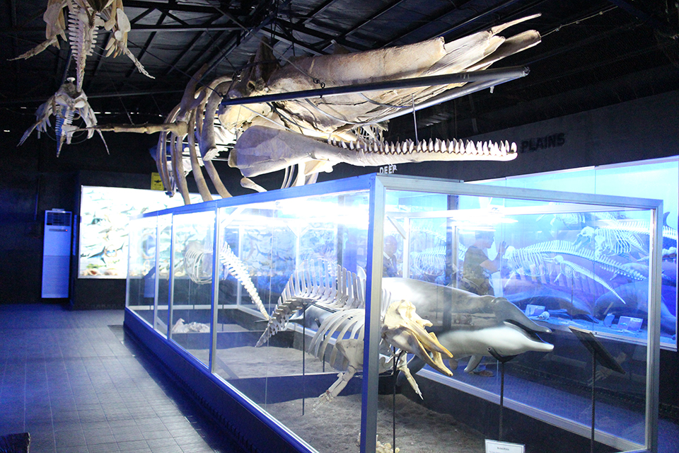 Museums in Davao City