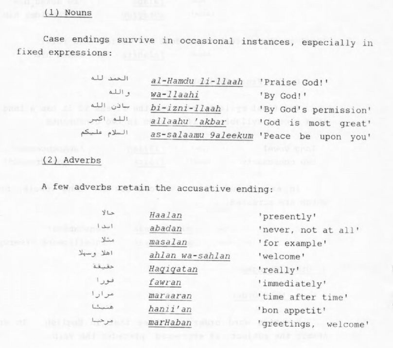 An Arabist's guide to Egyptian colloquial | al3arabiya.org