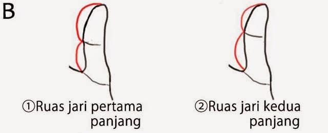 Kepribadian Manusia Berdasarkan Ibu Jari Tangan - Clever Society
