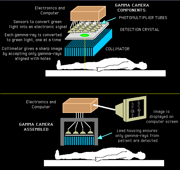INSTRUMENTACION Y EQUIPAMIENTO EN MEDICINA NUCLEAR Y RADIOTERAPIA ...