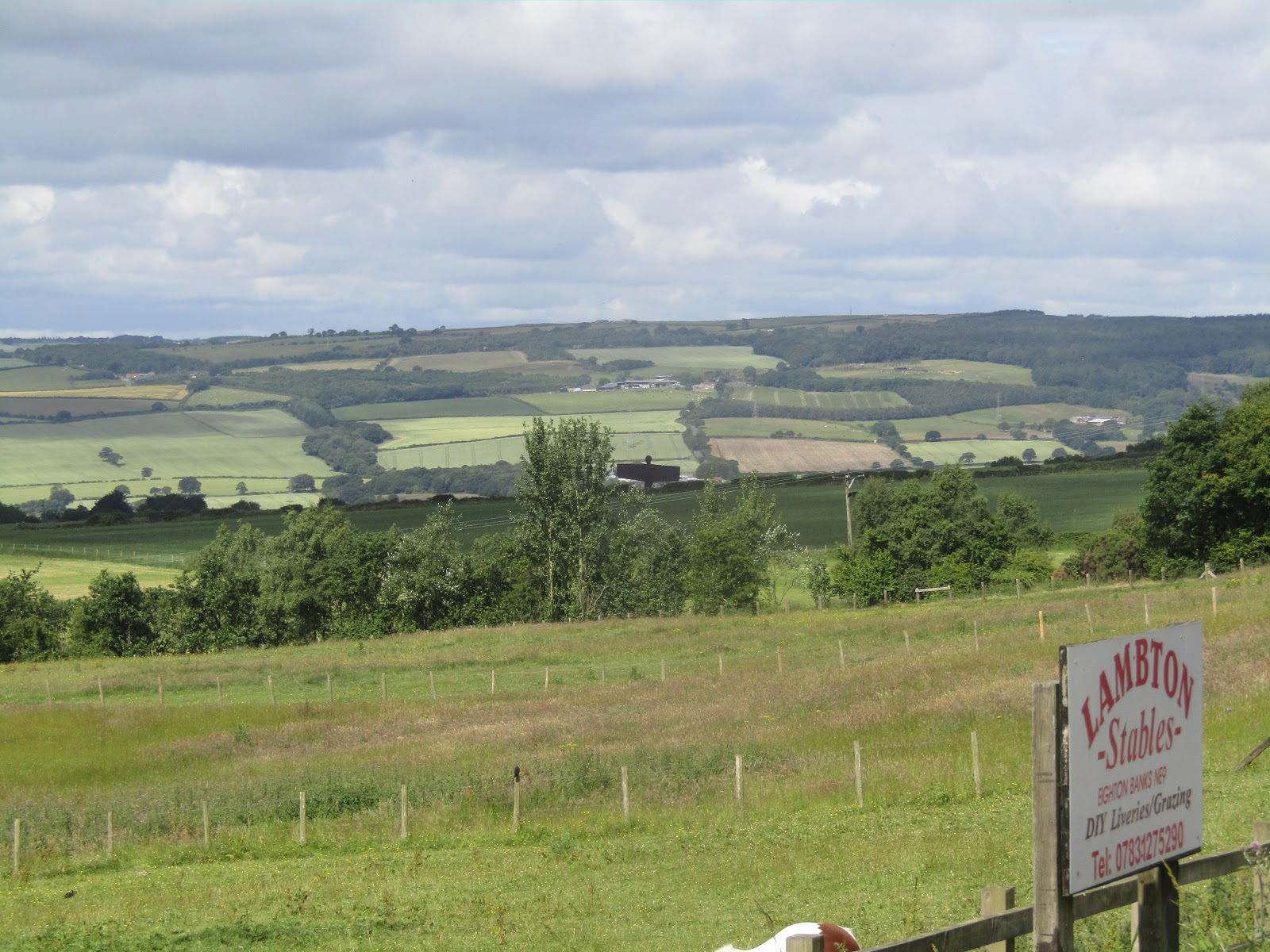 Boz North's Trail - Walking Blog: Bowes Railway Path - Monkton to ...