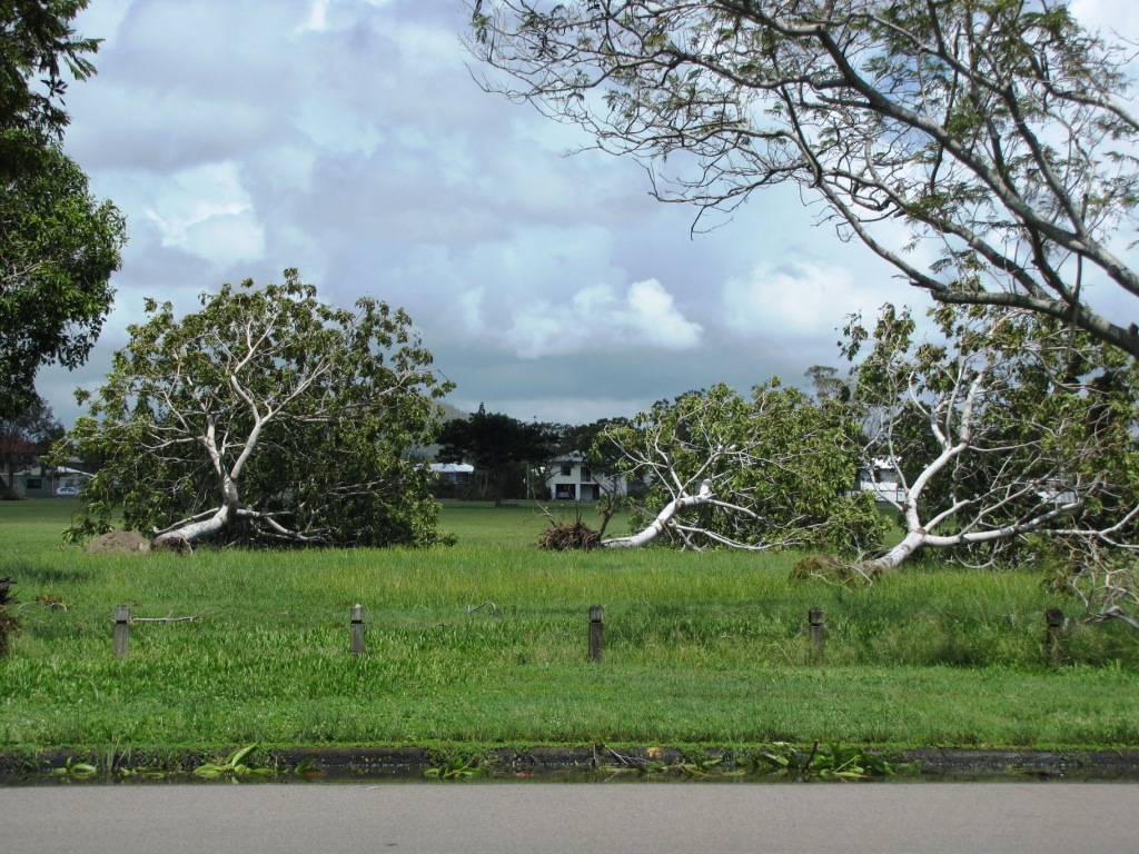 Wylo yard: Cyclone Yasi