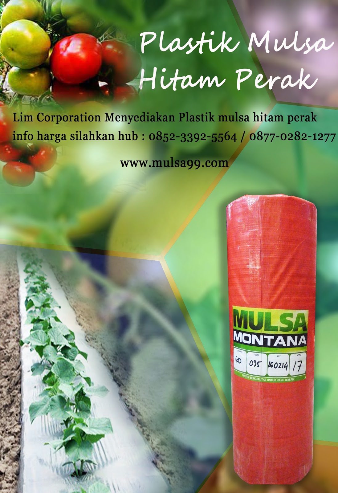 Mulsa dan Bawang Merah - Jual Mulsa Plastik Hitam Perak Murah