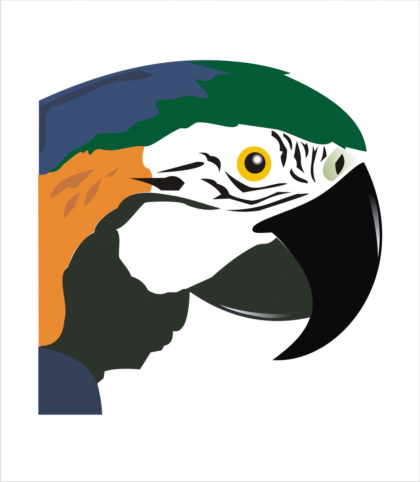 Vetor CDR Free: Arara