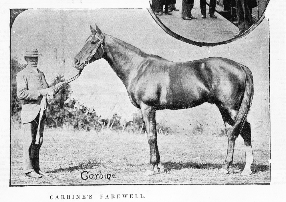 Barwon Blog: 'Ballark'