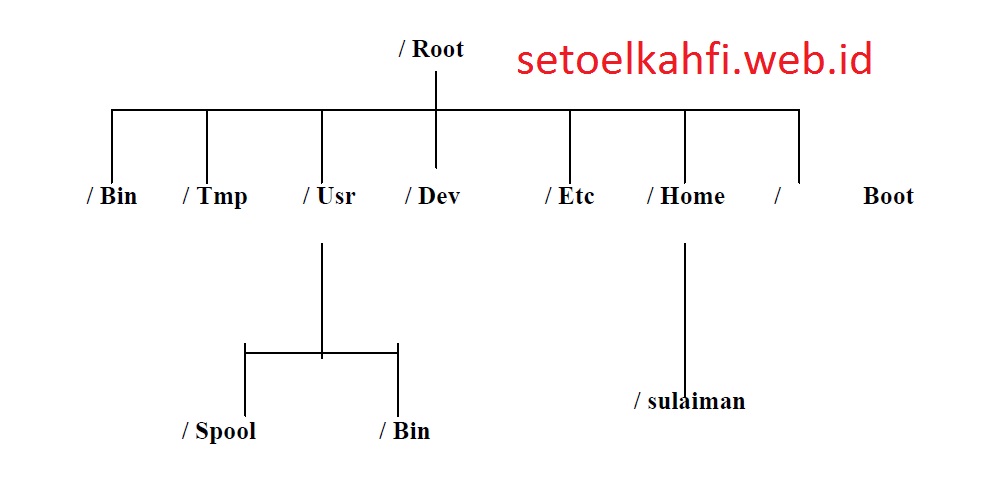 Belajar Linux: Struktur Direktori Linux Dan Organisasi File