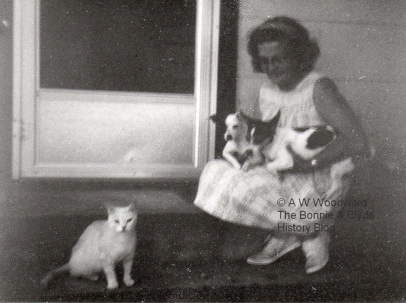 Bonnie and Clyde History: For Blanche Barrow-- Animals Held A Special ...