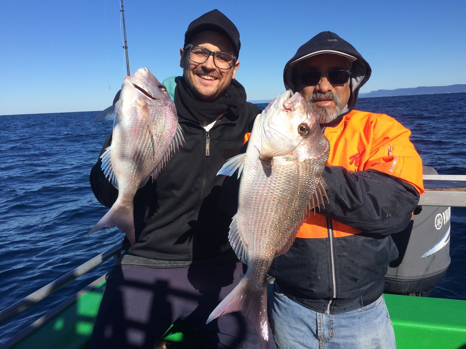 Scotty Fishing Life: Charter Fishing Sydney