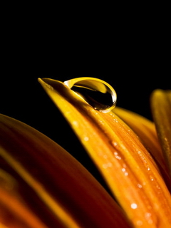 Touch Screen Wallpapers Free Download - Planet Wallpapers