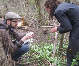 Ottawa Urban Wild Tours: Sunday May 8th, 2011 at 2:30 pm - Wild Food in ...