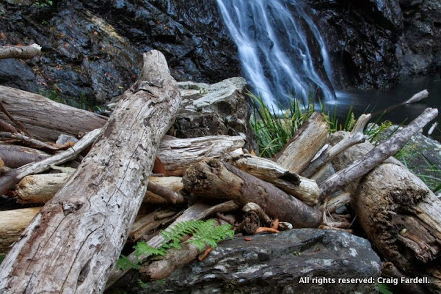 awildland: Mirrong Falls - Bindarri National Park