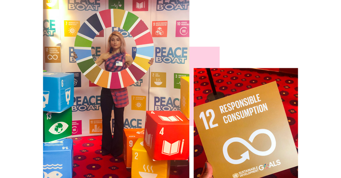 The Fulfillment Of The Sustainable Development Goals Through The ...