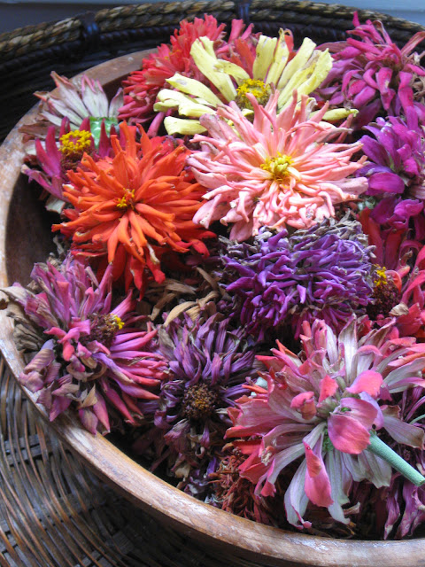 Calico Petals: tiny seeds