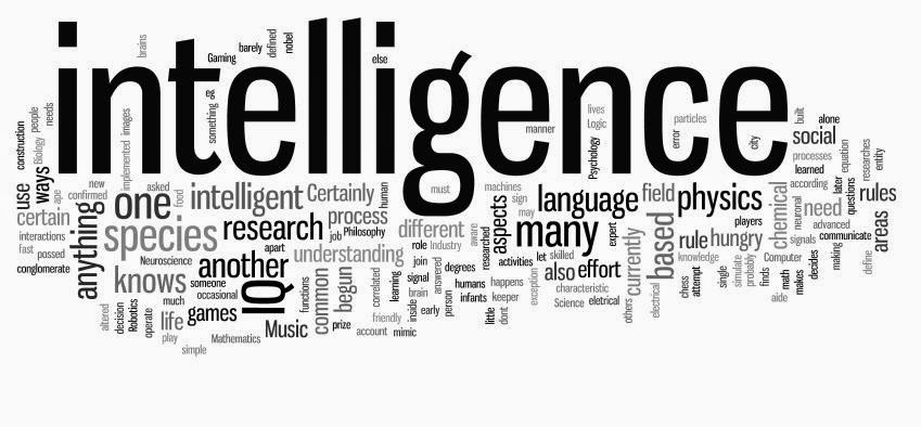 The Nine Types of Intelligence (English) ~ Intelligence Room